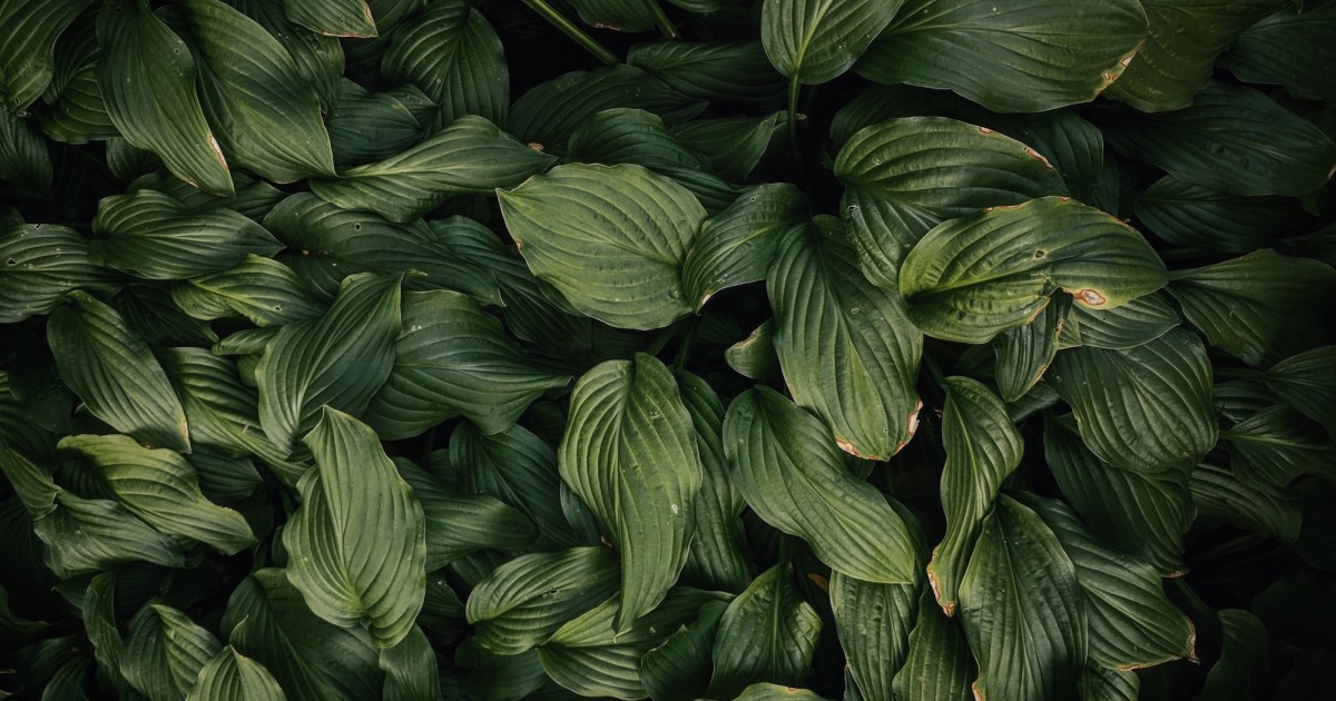 Our services - Zone Global Group